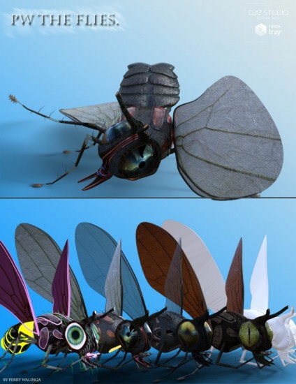 PW The Flies › daz studio
