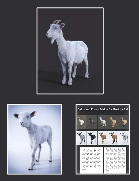 Goat by AM Bundle › daz studio