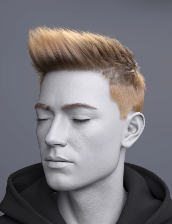 dForce FV Bold Faux Hawk Hair for Genesis 9 › daz studio